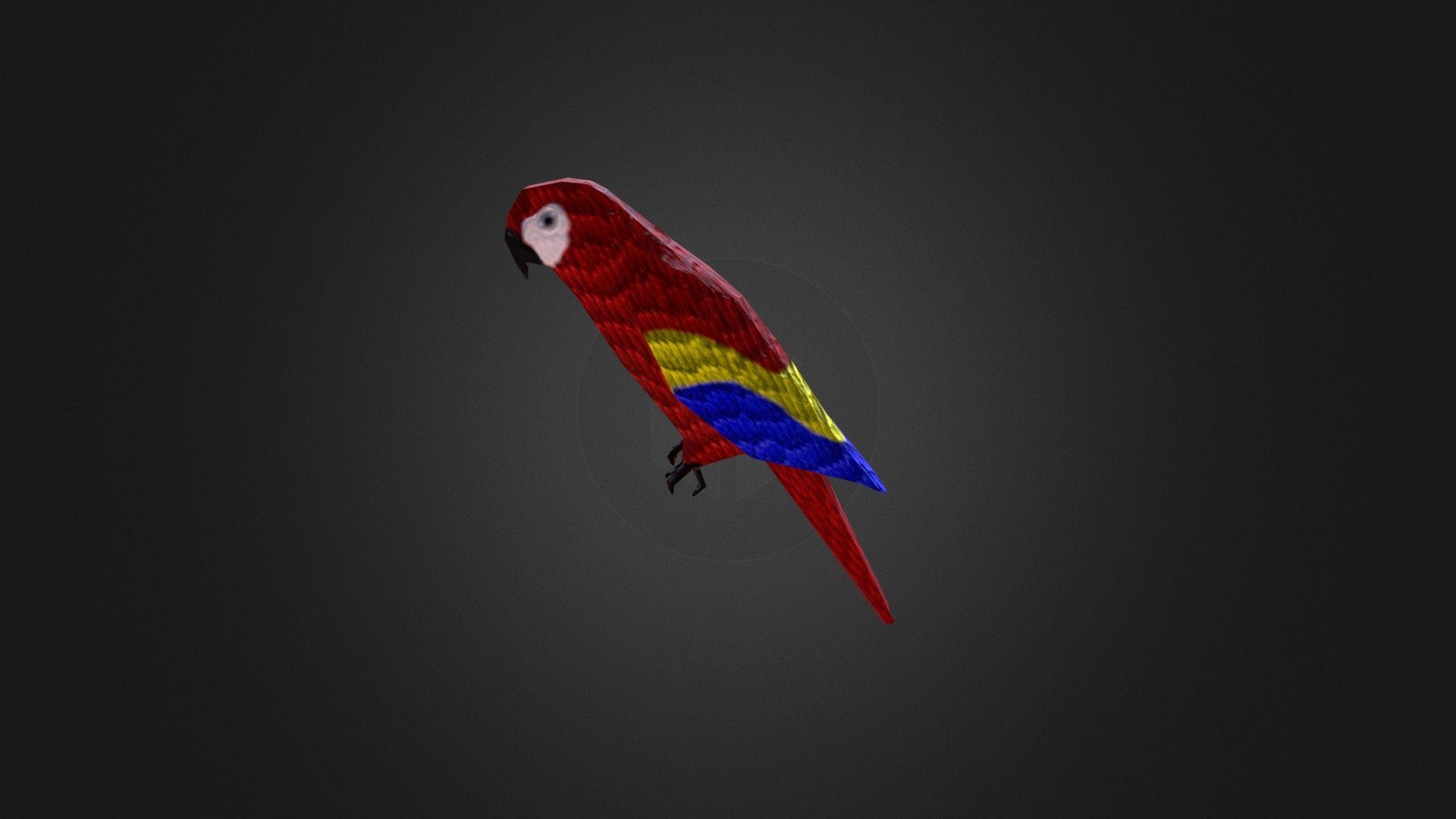 Parrot - 3D model by imurustudio [ab80a2e] - Sketchfab