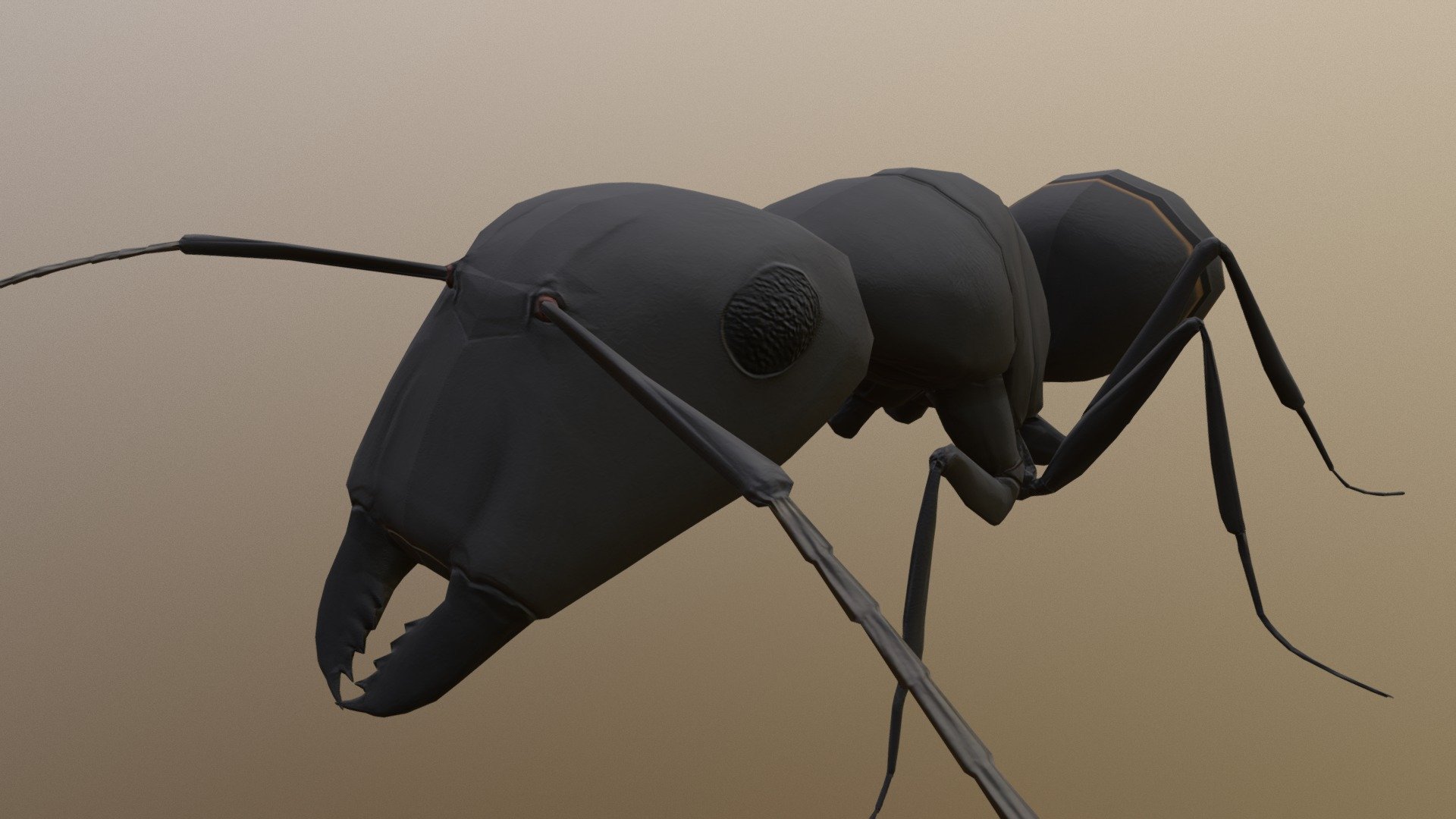 Ant - 3D model by Intelligent Education (@intelligenteducation ...