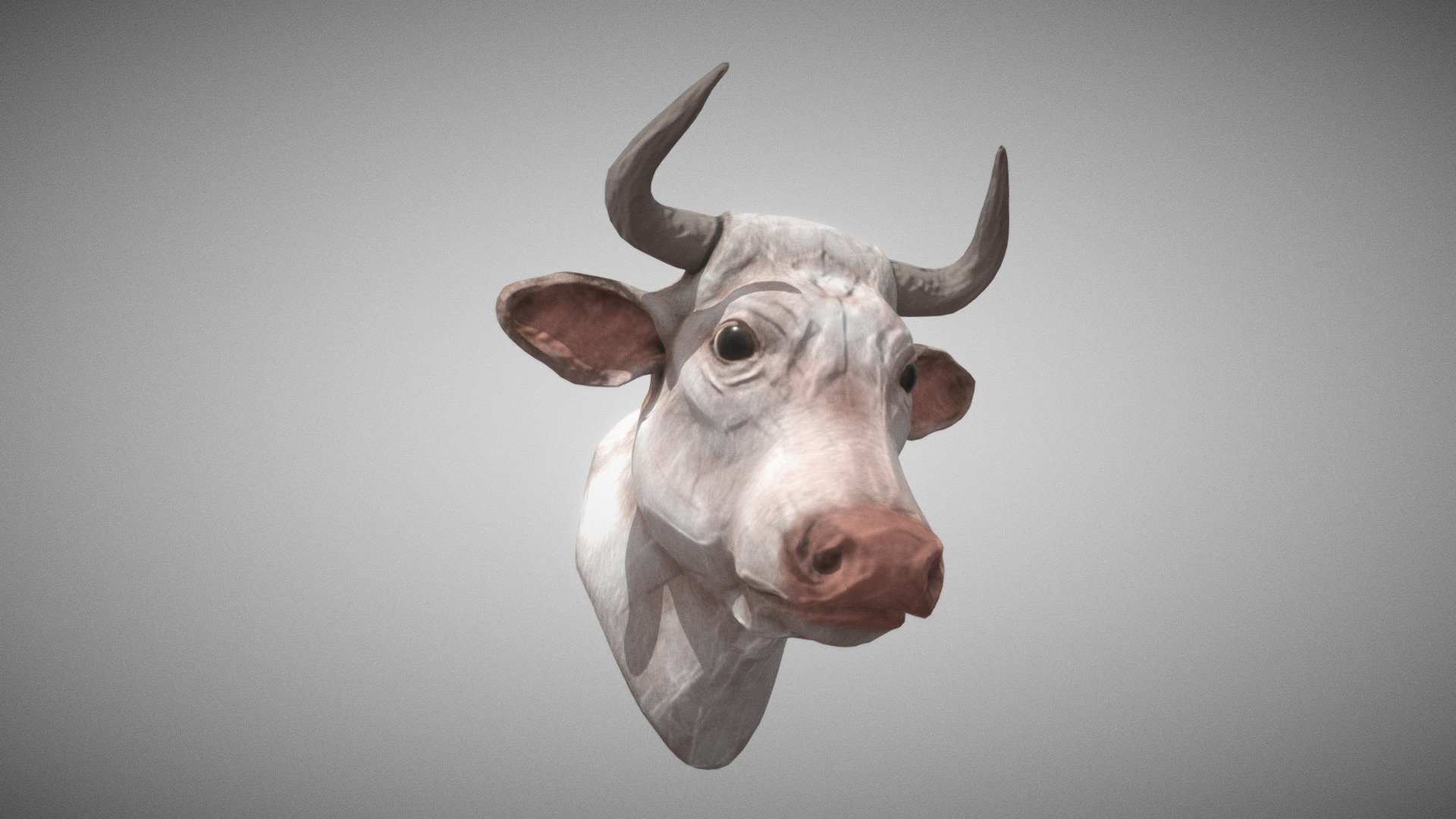 Bull - Buy Royalty Free 3D model by Tom Johnson (@Brigyon) [ab8e0de ...