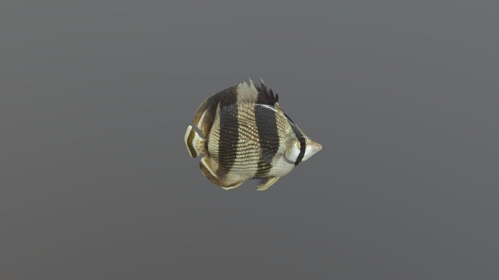Wild-life 3D models - Sketchfab