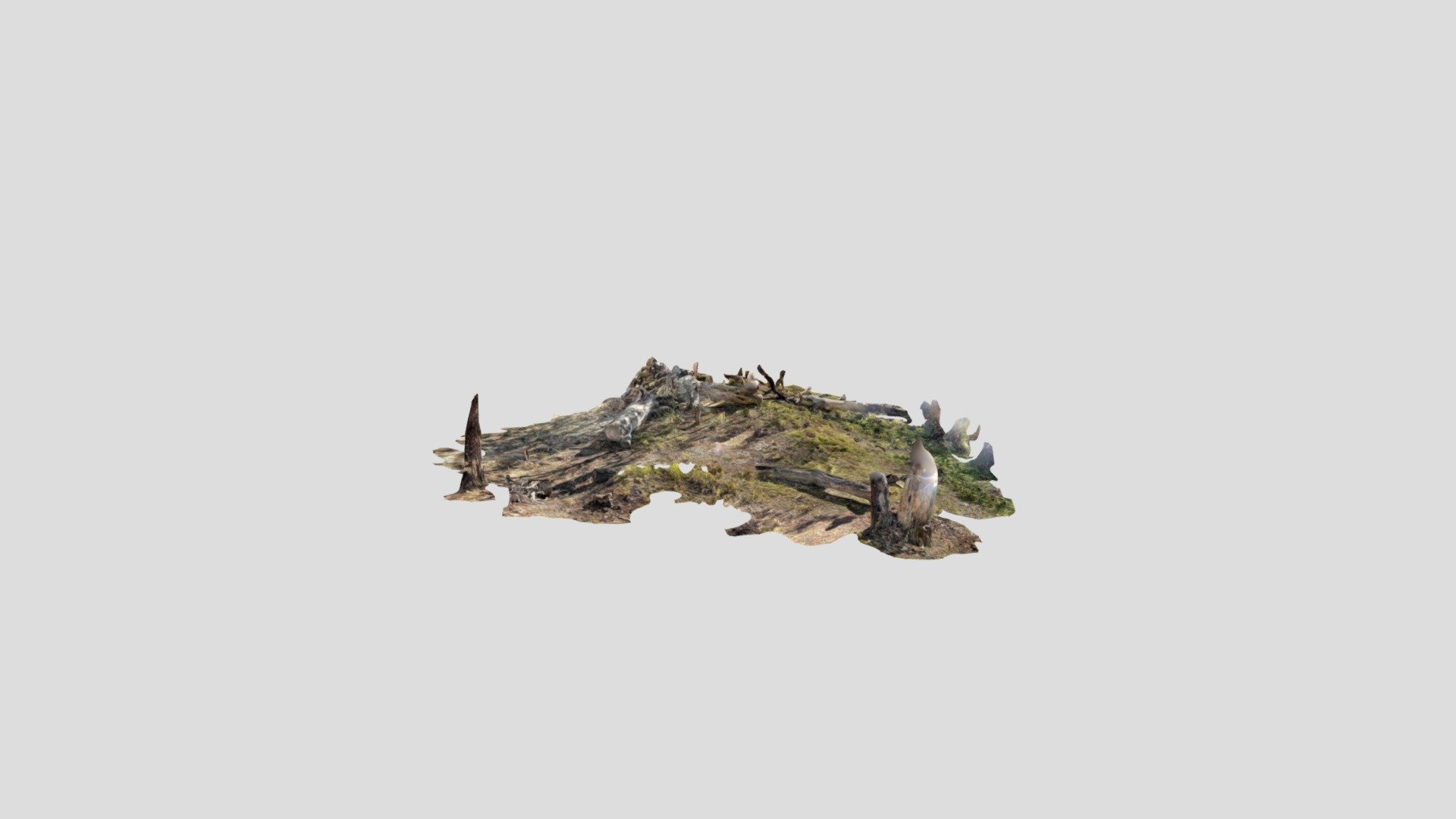 Forest - Download Free 3D model by donaldsonk [ab954e8] - Sketchfab