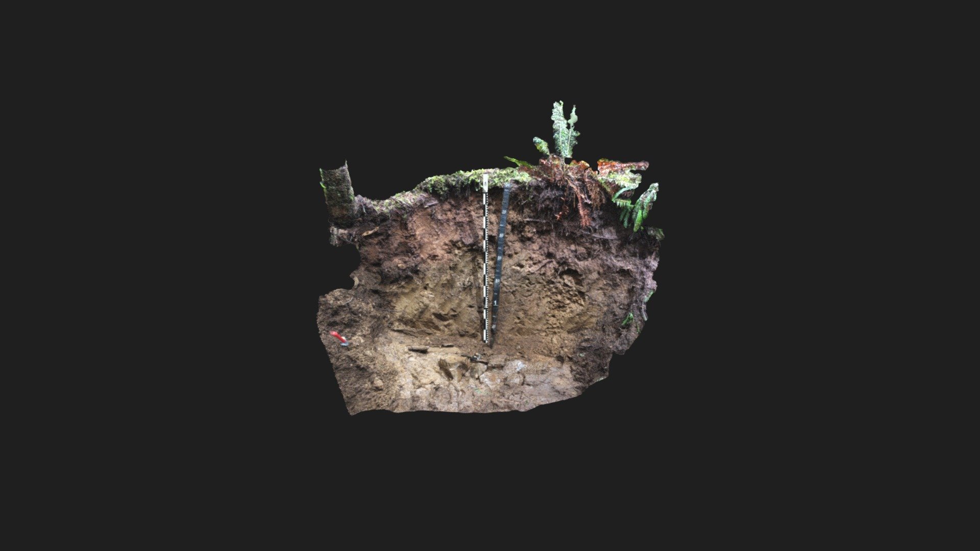 Ascar/Klootchie/Necanicum Complex with scale - 3D model by Oregon State ...