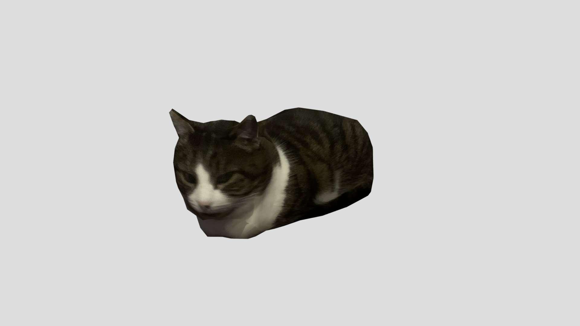 felix loaf - Download Free 3D model by anna (@fml42) [ab9c0e4] - Sketchfab