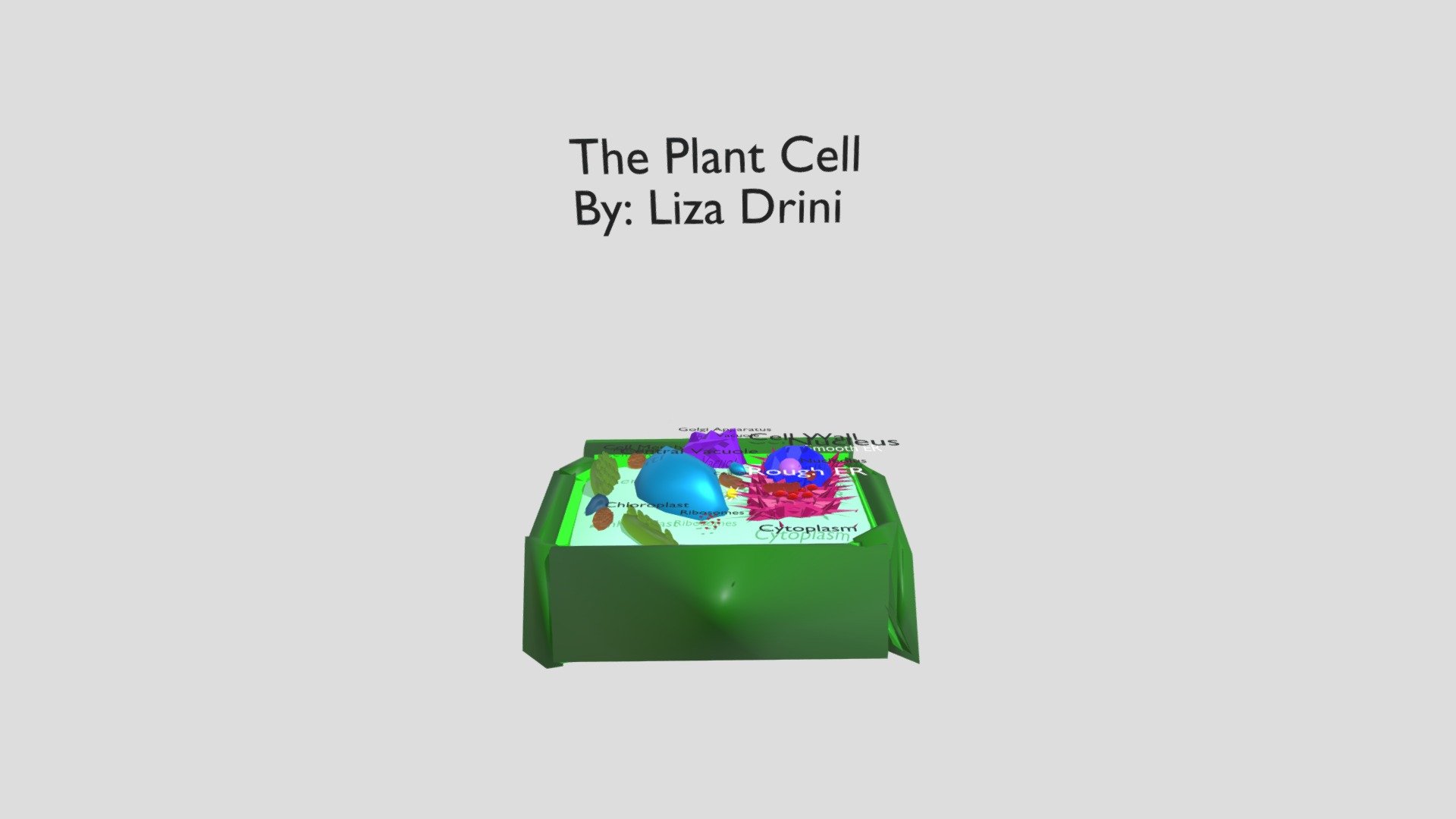 3D Plant Cell - Download Free 3D model by lizadrini [abad8ed] - Sketchfab