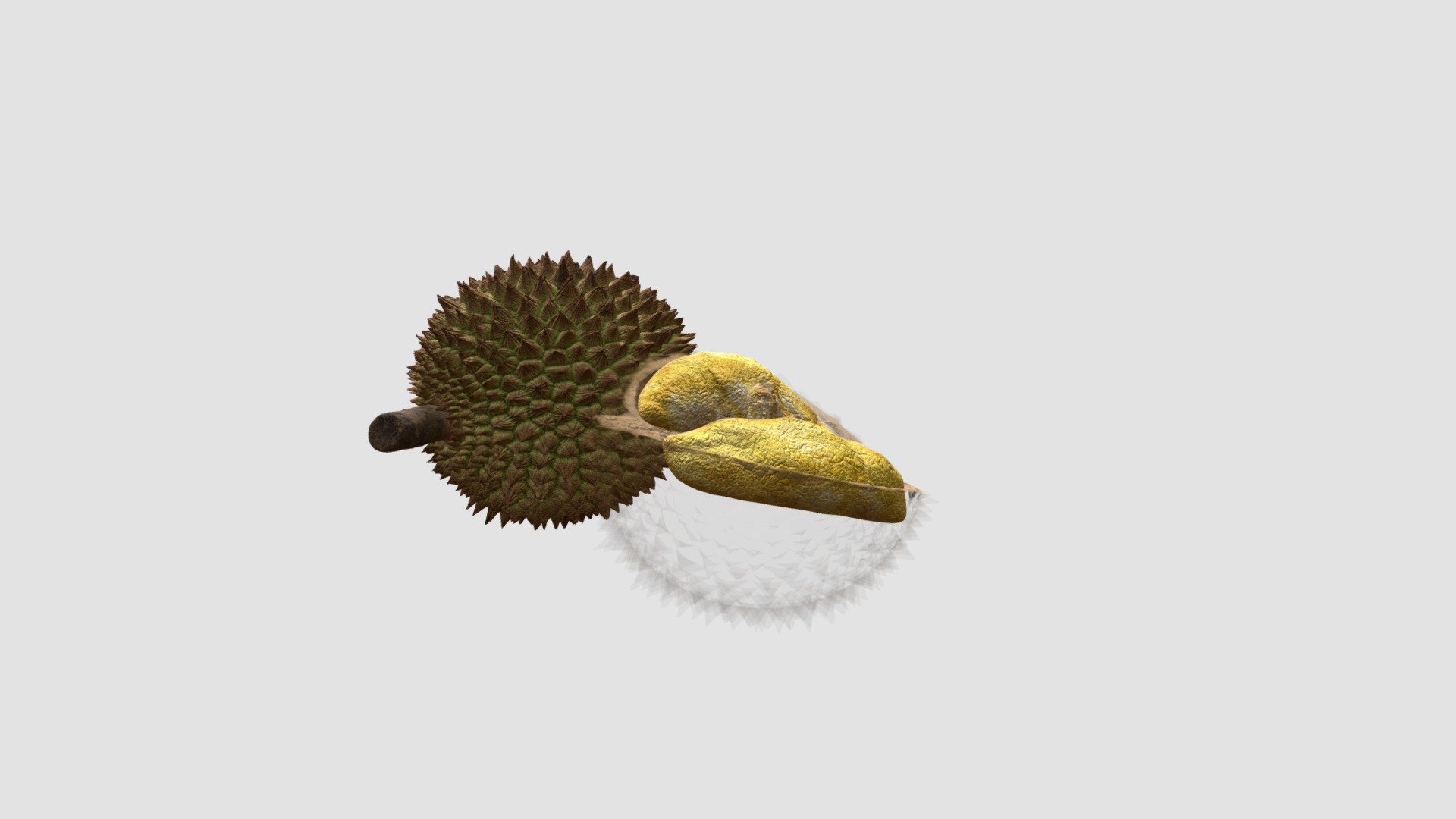 durian - Buy Royalty Free 3D model by Evermotion [abae073] - Sketchfab ...