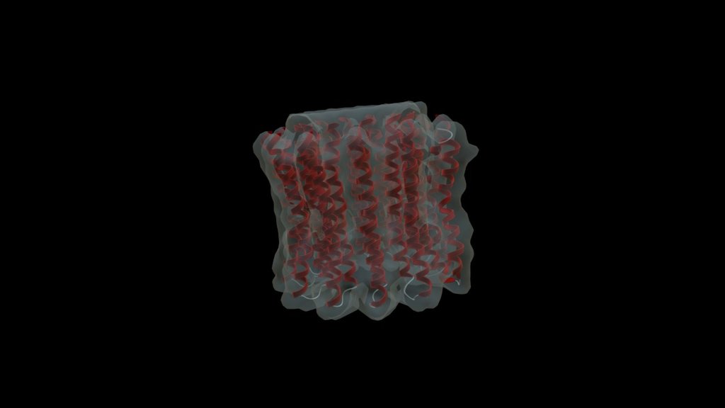 ATP Synthase - 3D model by iqcenter [abb12ae] - Sketchfab