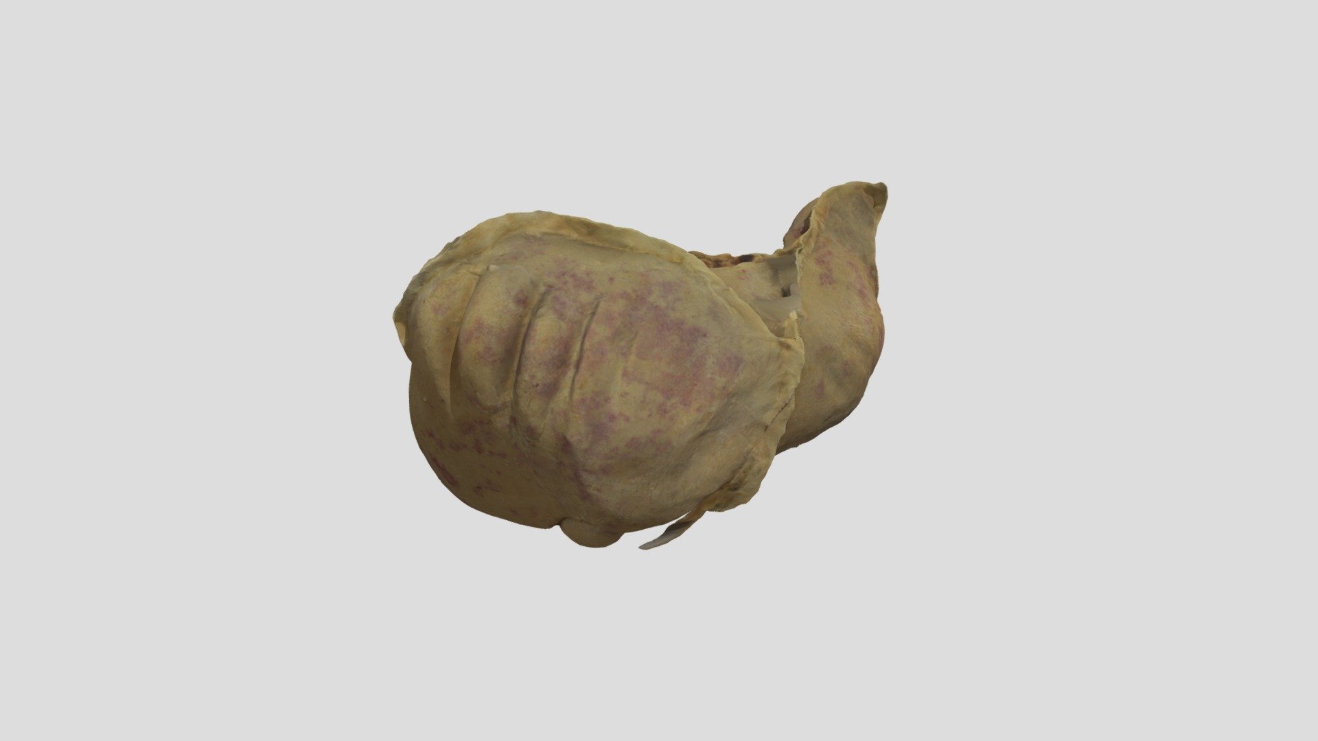 Liver - Photorealistic - 3D model by MingYiKoh [abb390b] - Sketchfab