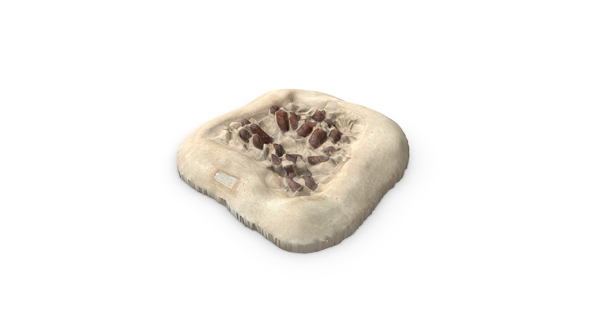 SA-CC042 Troodon Egg - 3D model by Henderson Recreation ...