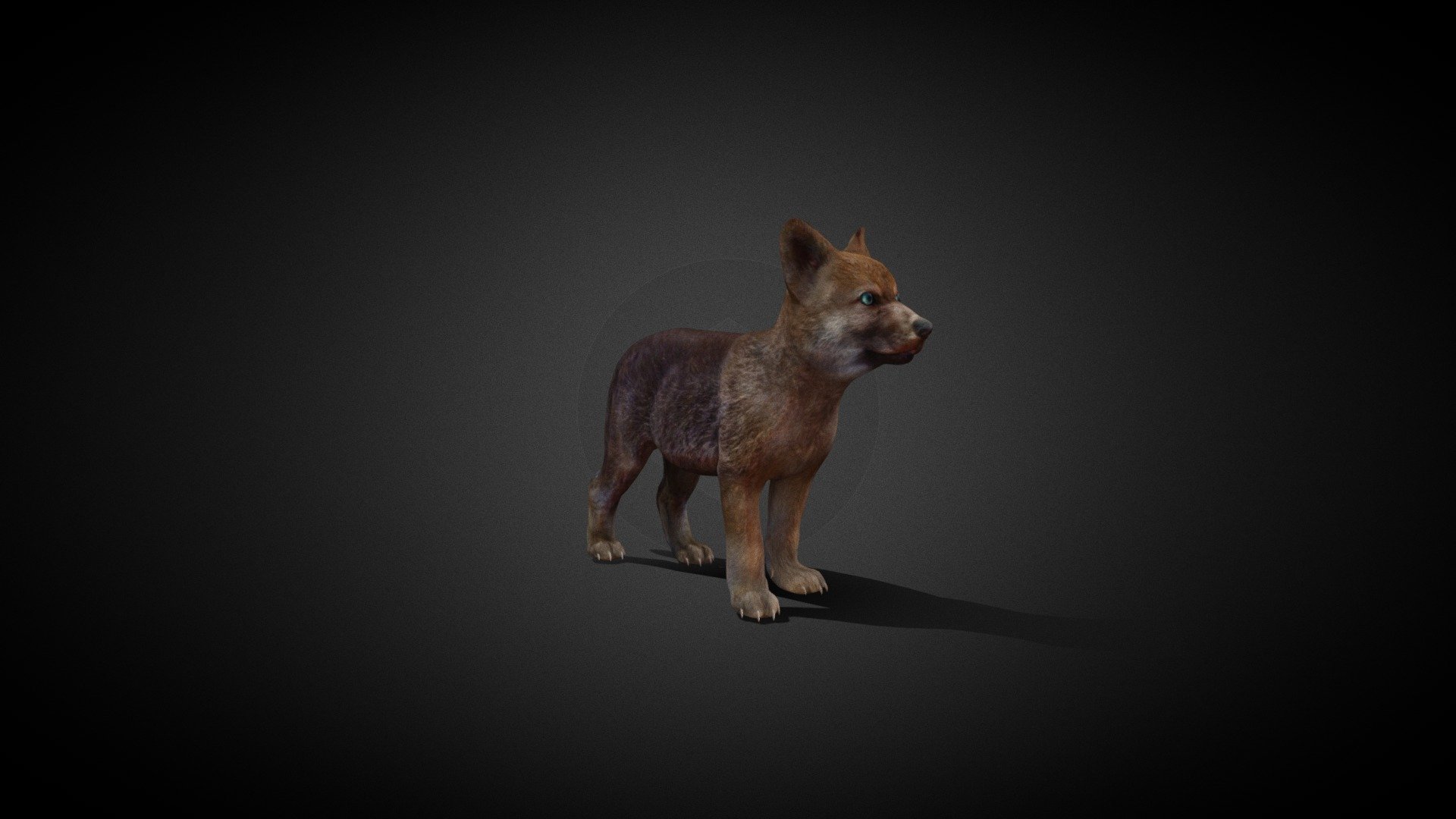Baby Wolf - 3D model by MAXDESIGN-3D (@MAXDESIGN) [abbc029] - Sketchfab