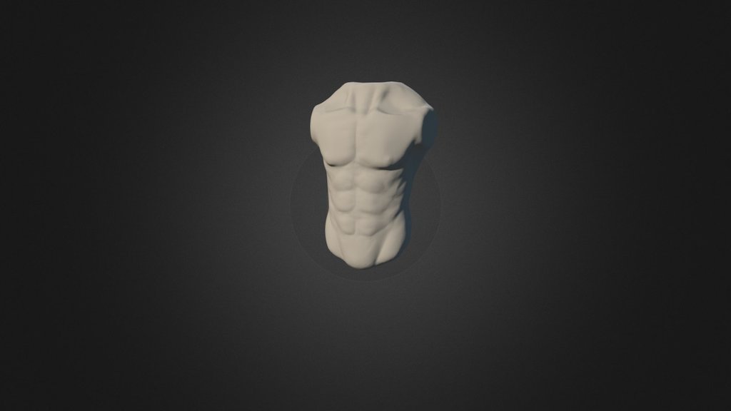 Anatomy Practice - Download Free 3D model by Dylan (@dhornbeak ...