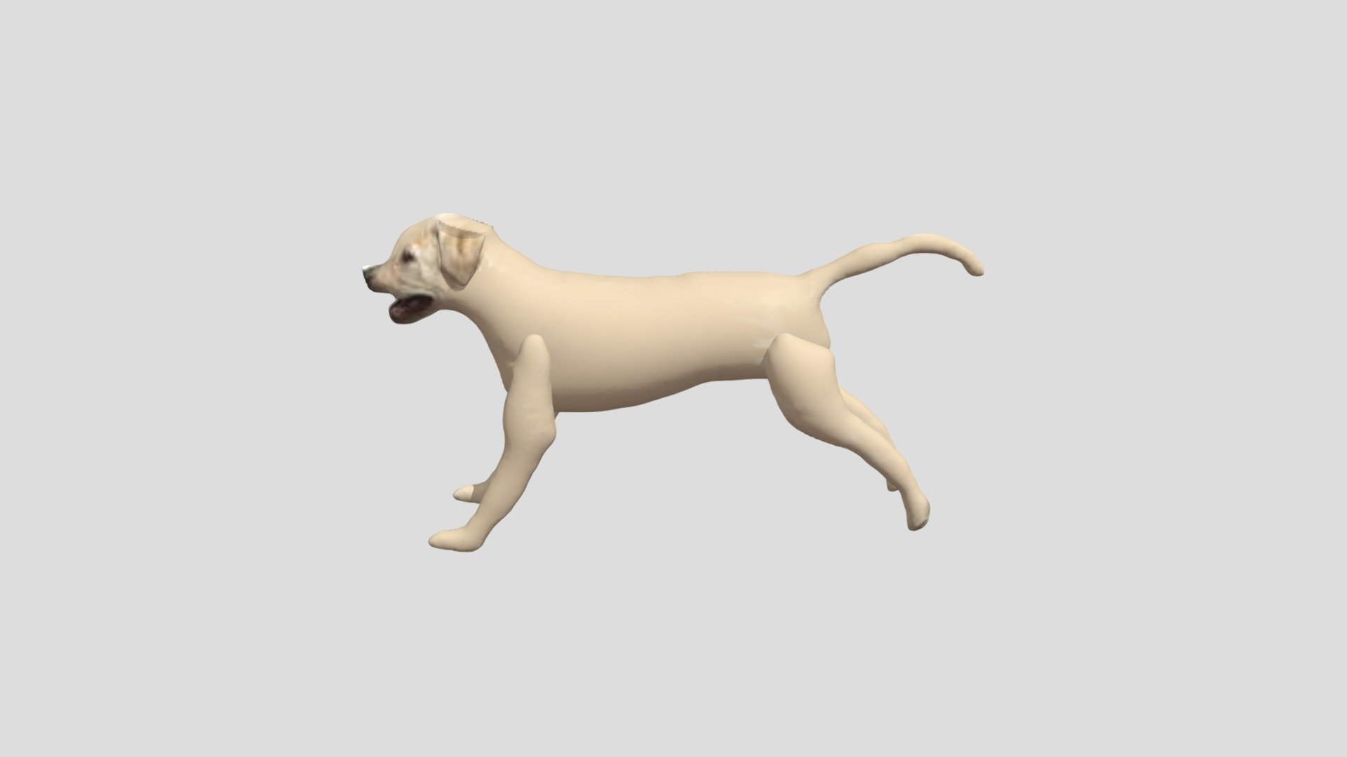 狗 - Download Free 3D model by a955031 [abc347a] - Sketchfab