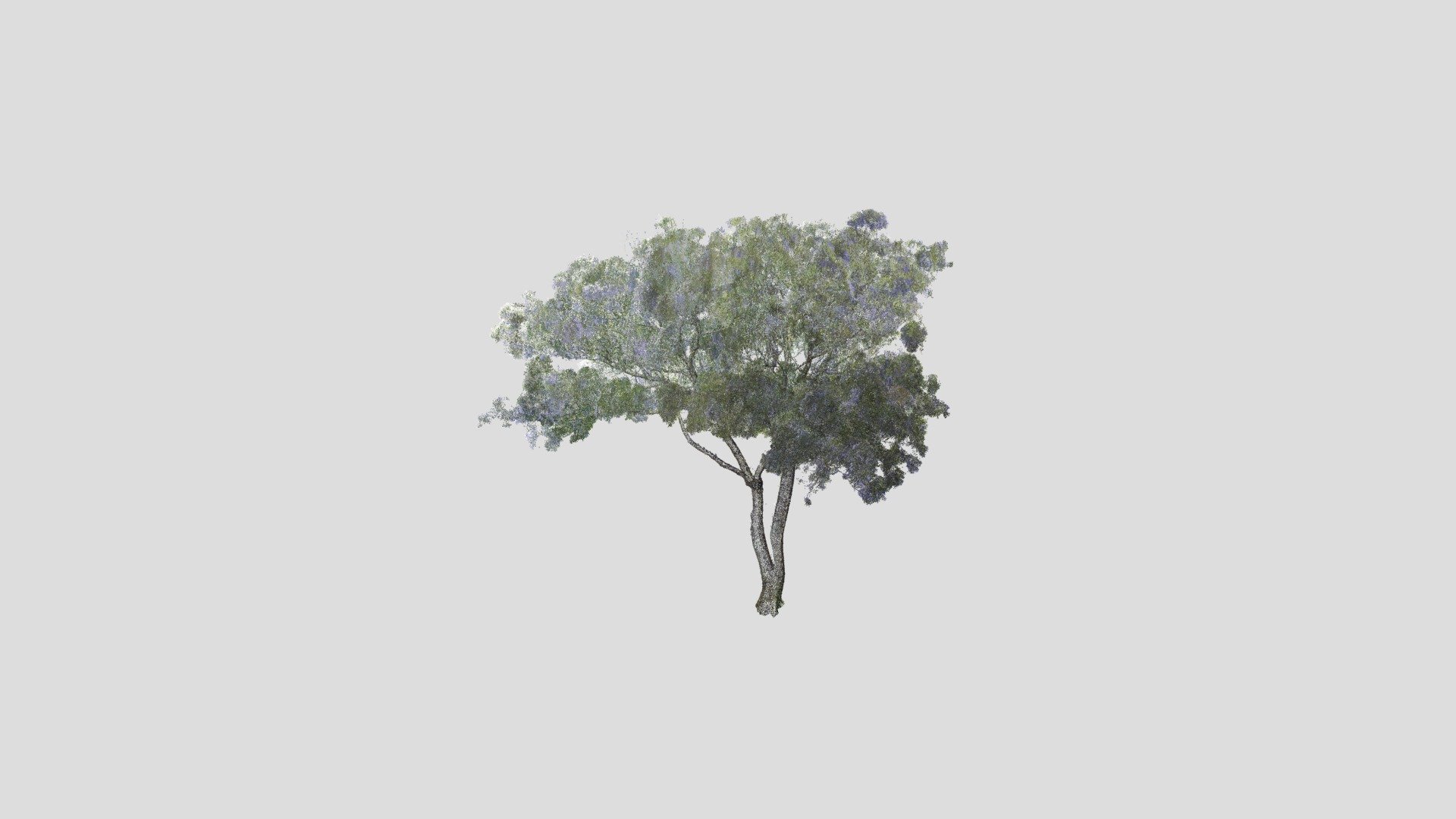 Tree Point Cloud - Buy Royalty Free 3D model by magnum_opus (@tree ...