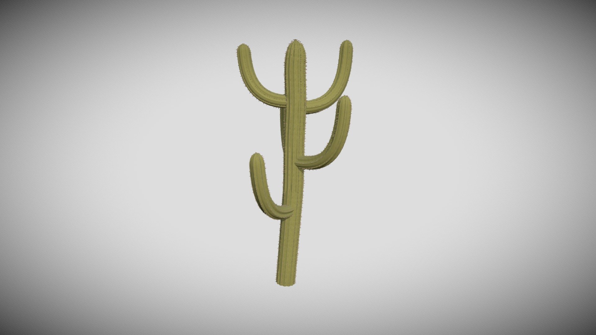 Realistic Cactus - Buy Royalty Free 3D model by Gatyh Interactive ...
