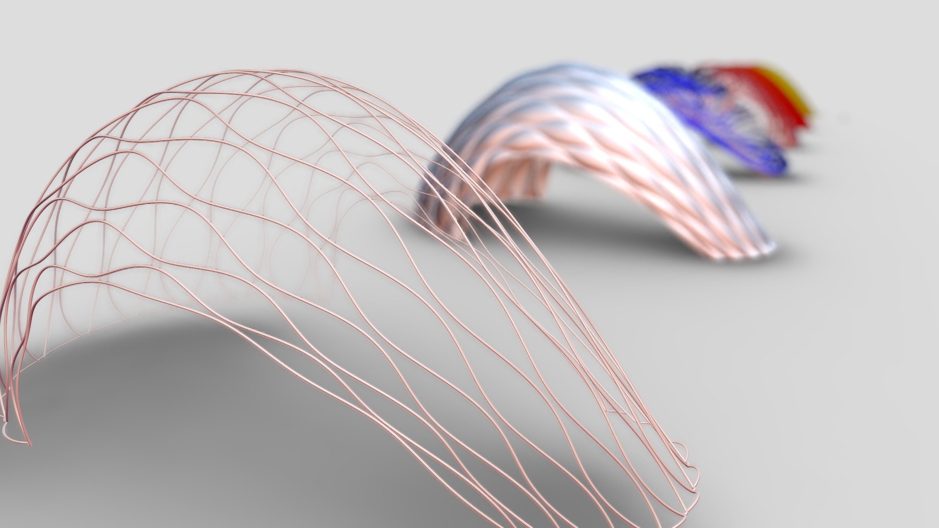 Diatom - 3D model by luisrvts [abc7484] - Sketchfab