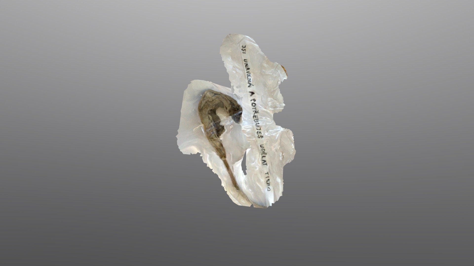 ticho - 3D model by lucieros [abc7d06] - Sketchfab