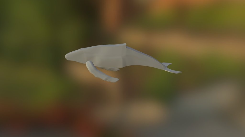 Humpback Whale - 3D model by mkammeyer [abcb781] - Sketchfab