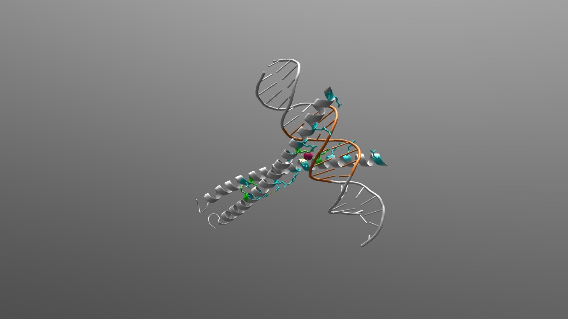 CREB bZIP bound to DNA - Download Free 3D model by sgup0437 [abd13c9 ...