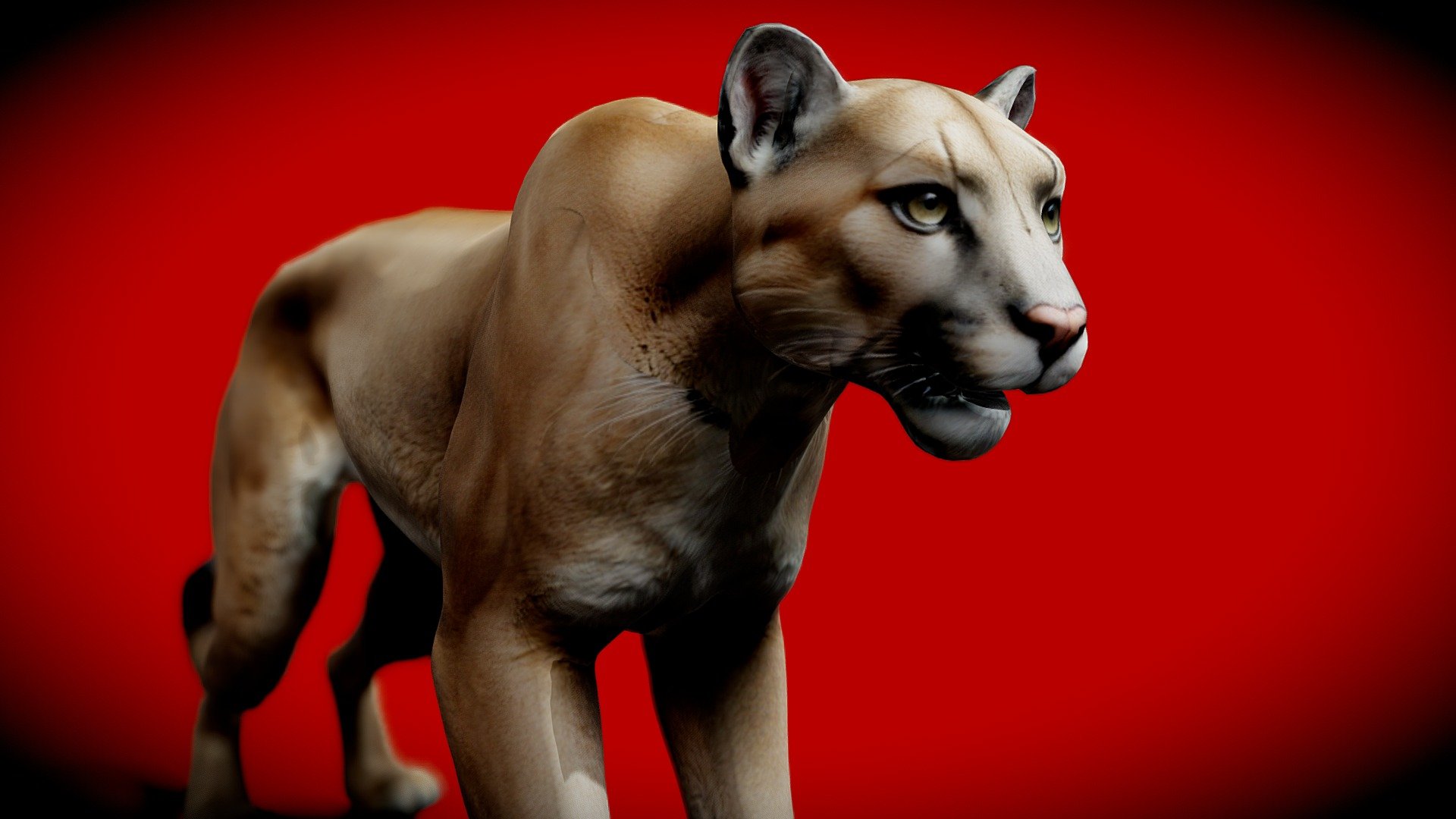 Puma - Download Free 3D model by Anees Animates (@AneesAnimates ...