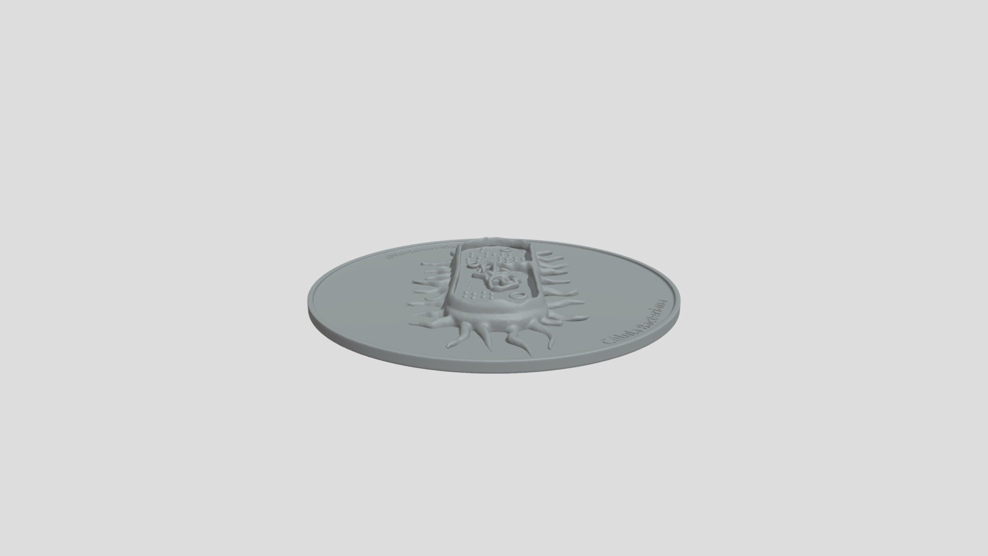 Morphology of a Bacterium - Download Free 3D model by fabianobiologico ...