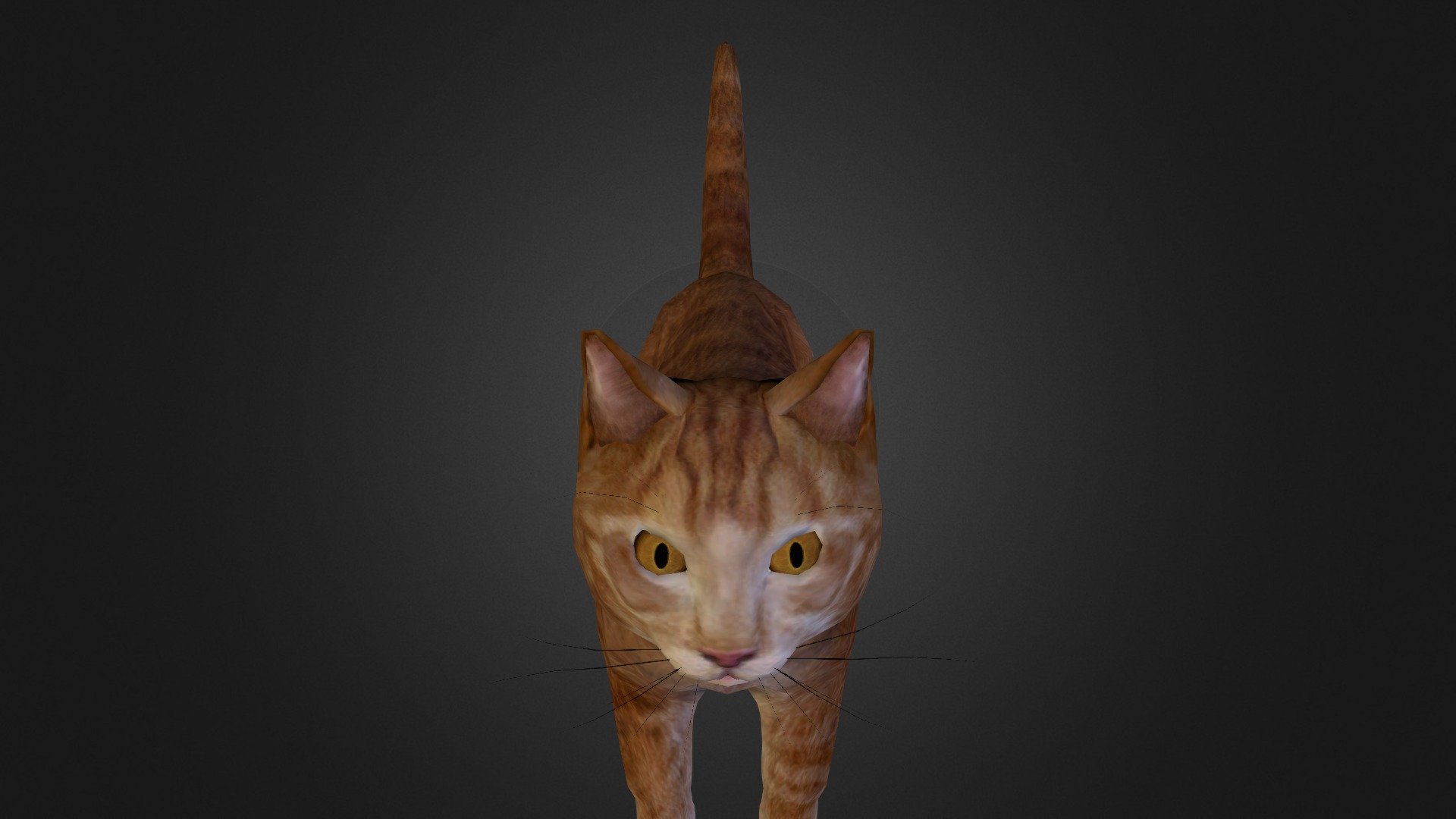 Cat - 3D model by cedarthewolf [abd9d32] - Sketchfab