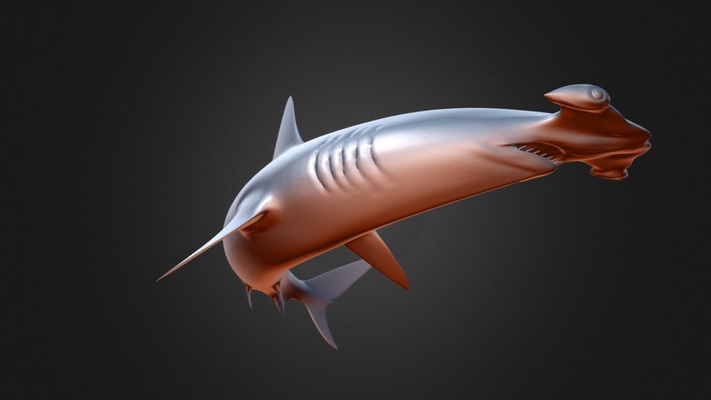 HAMMERHEAD - 3D model by MAXWELL (@wxko) [abe2e8e] - Sketchfab