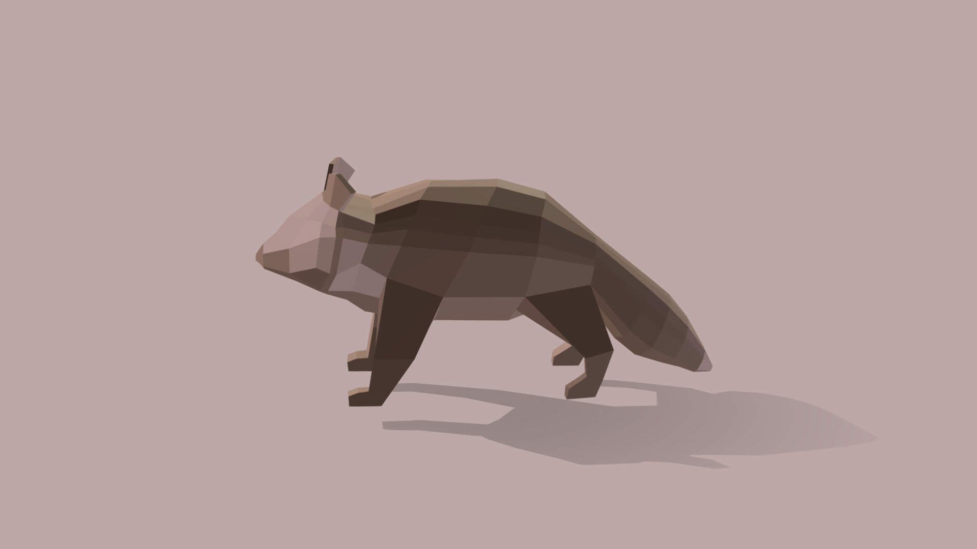 Racoon - 3D model by melann_strauss [abe8490] - Sketchfab