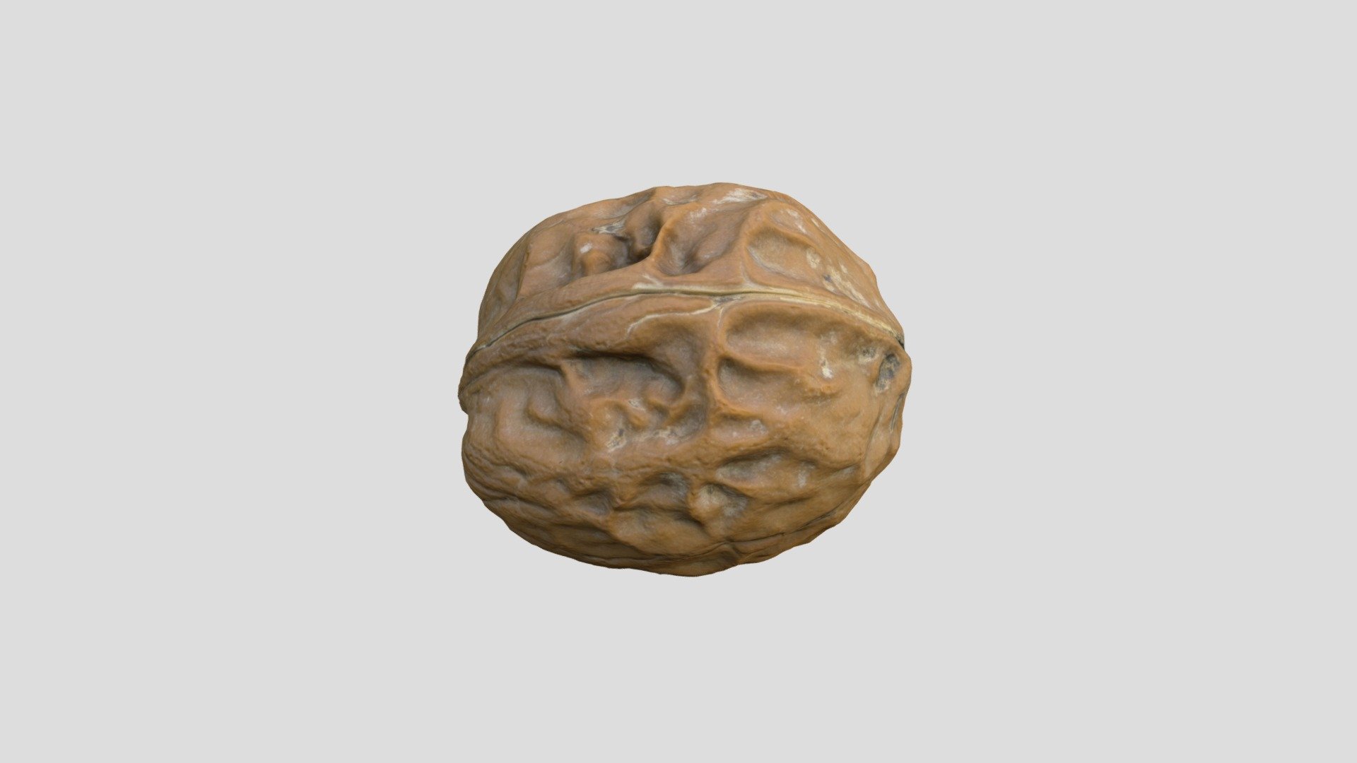 Hetao - 3D model by lucienne. [abf1836] - Sketchfab