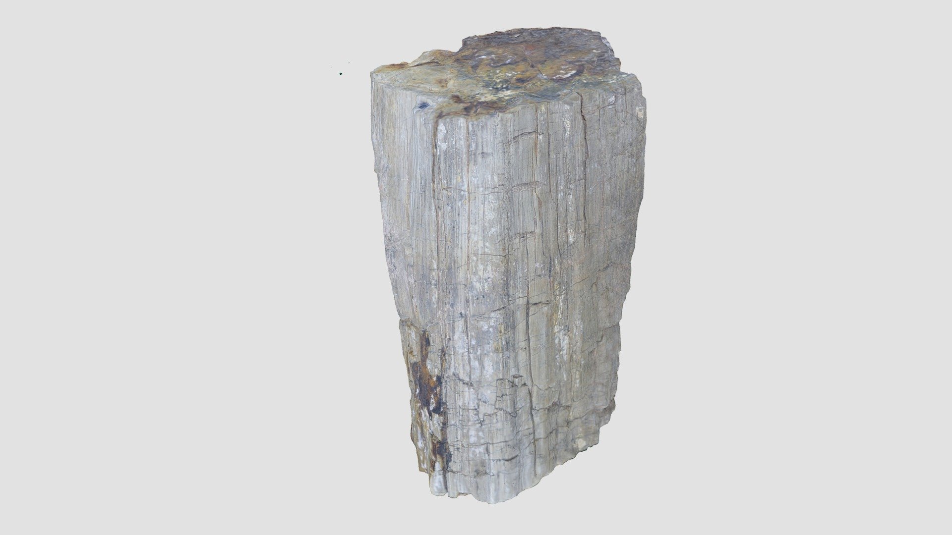 Petrified Wood - 3D model by Micah Olson (@olsonmicah86) [abfc8a2 ...