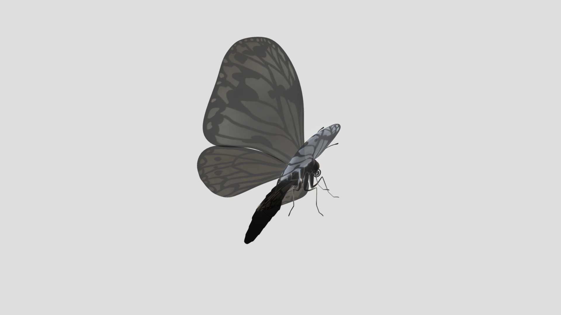 butterfly - Download Free 3D model by s.to [ac0595c] - Sketchfab