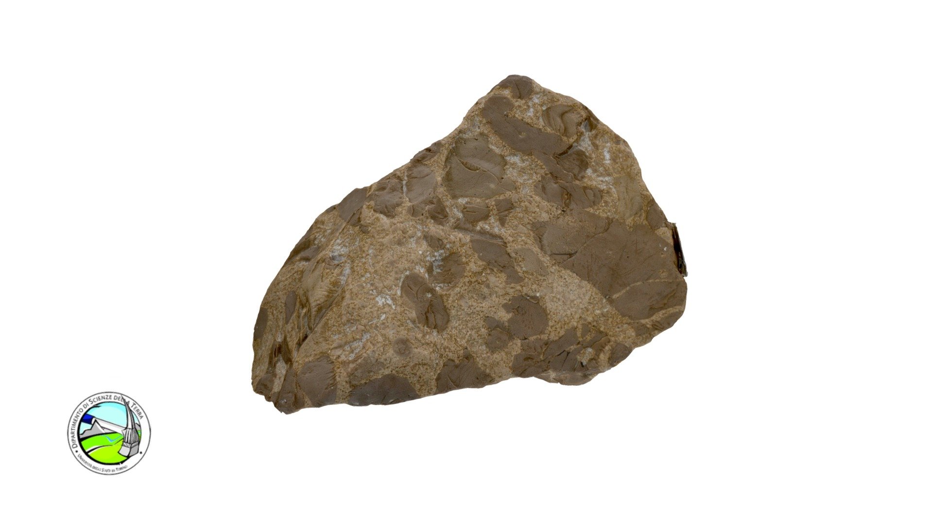 Floatstone ad Intraclasti di mudstone - 3D model by Dipartimento di ...