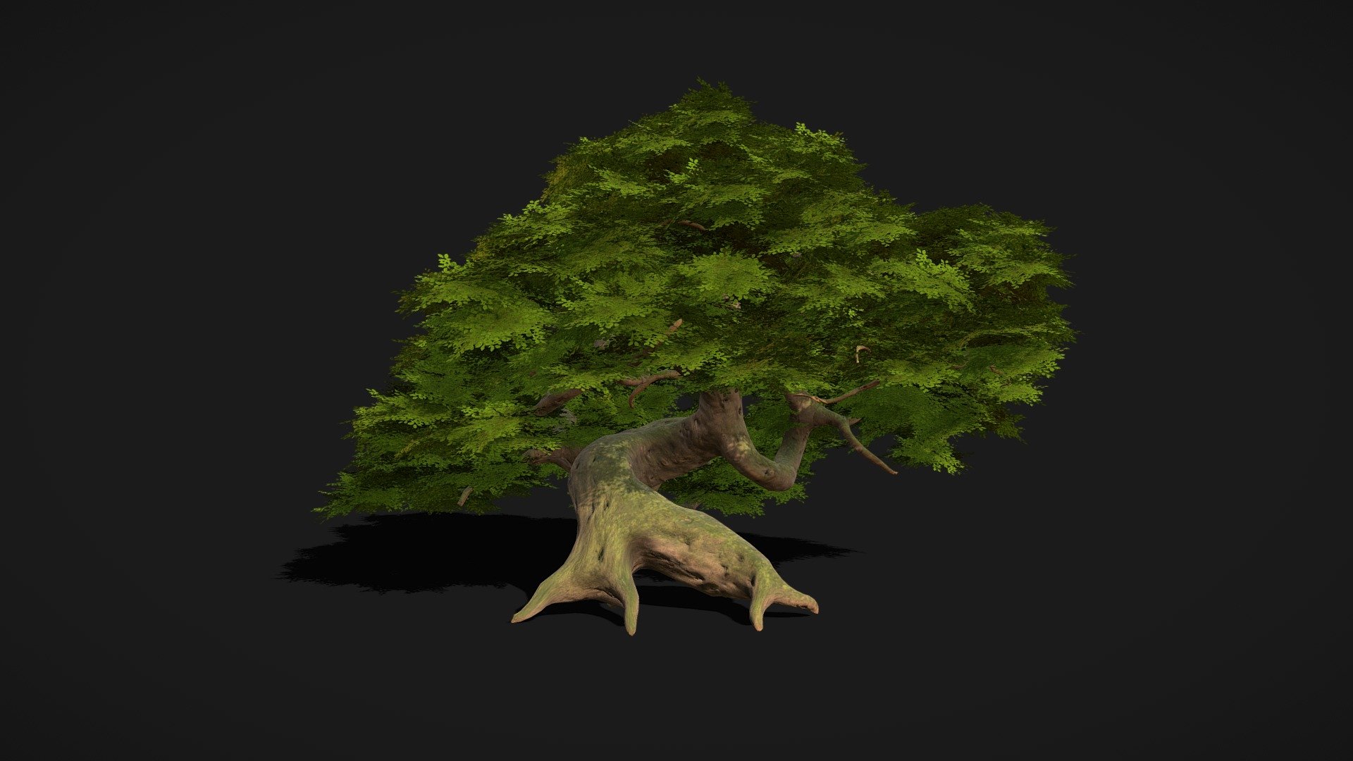 Large_Tree - 3D model by Elkandar [ac0b274] - Sketchfab