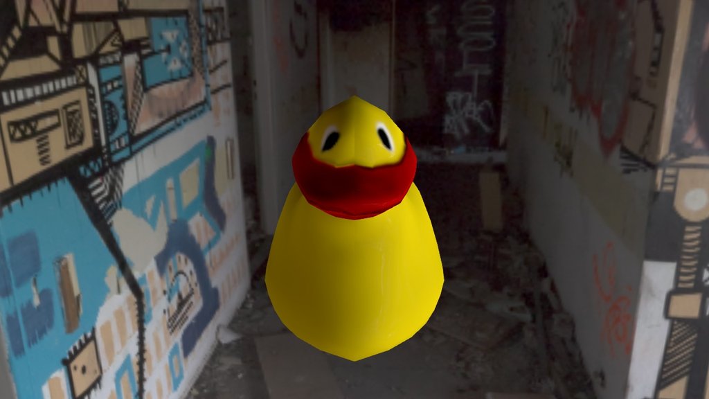 Duck Test - 3D model by pabloburon [ac0d658] - Sketchfab