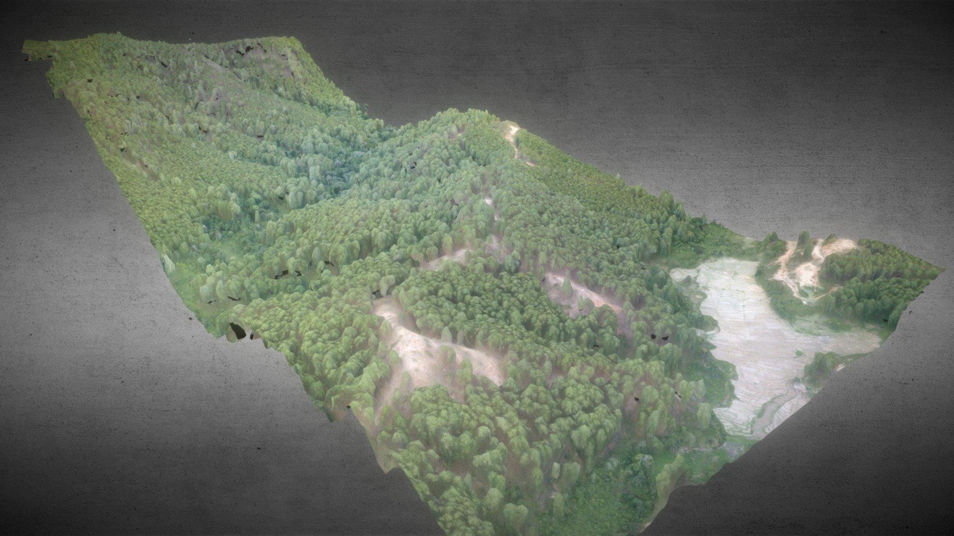 Hutan Pinus Takengon - Aceh Tengah - 3D model by Aero Mapping & Topo 3D ...