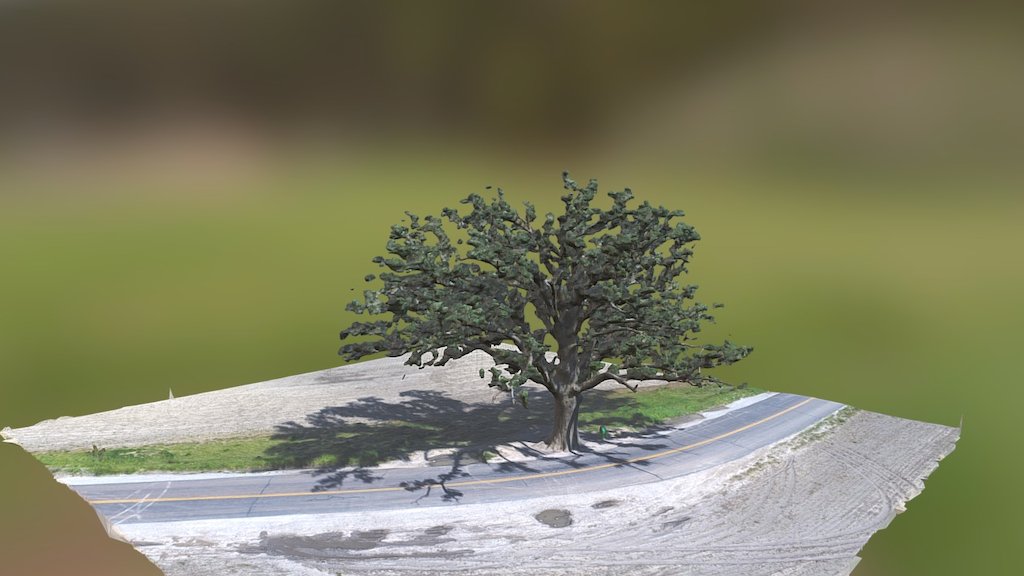 The Big Oak Tree 2 - Download Free 3D model by ecpaerialsolutions ...