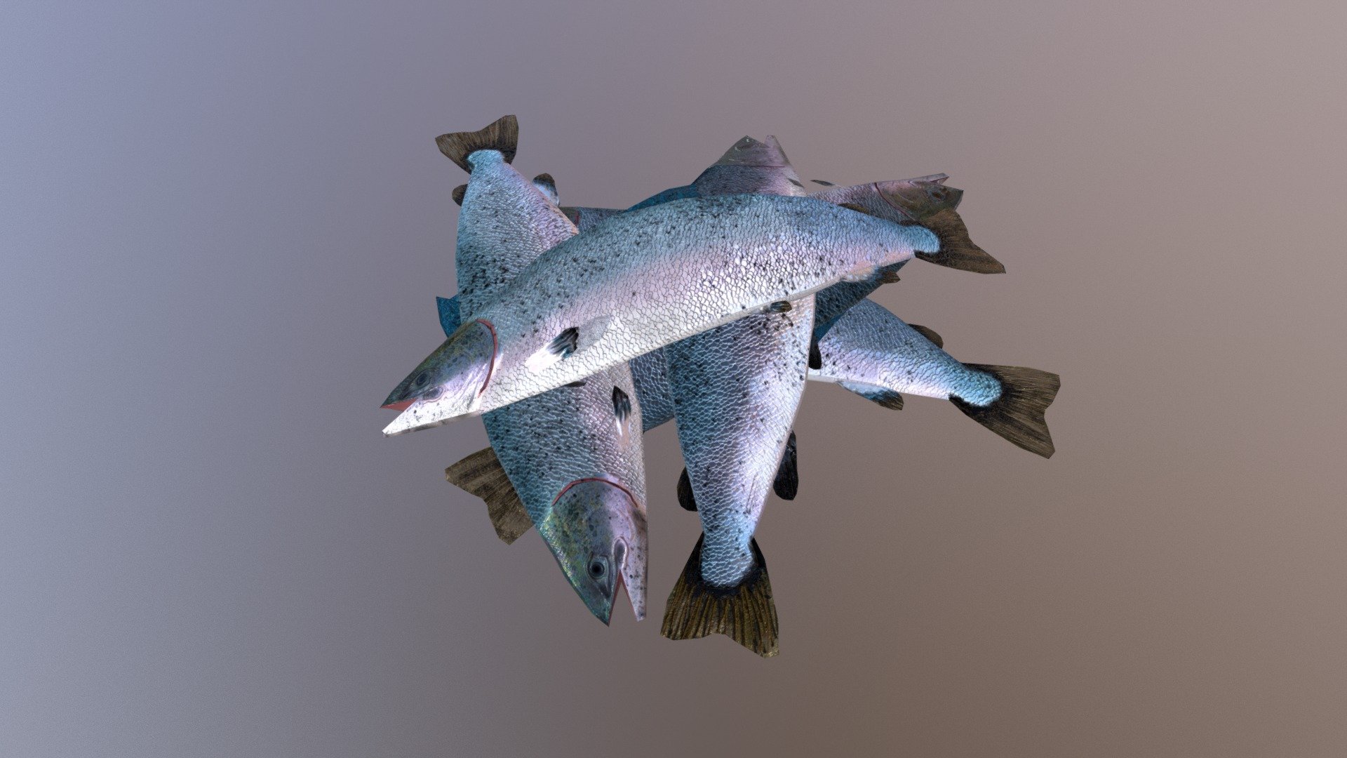 Fishpile - 3D model by Anna.K [ac1a8ca] - Sketchfab