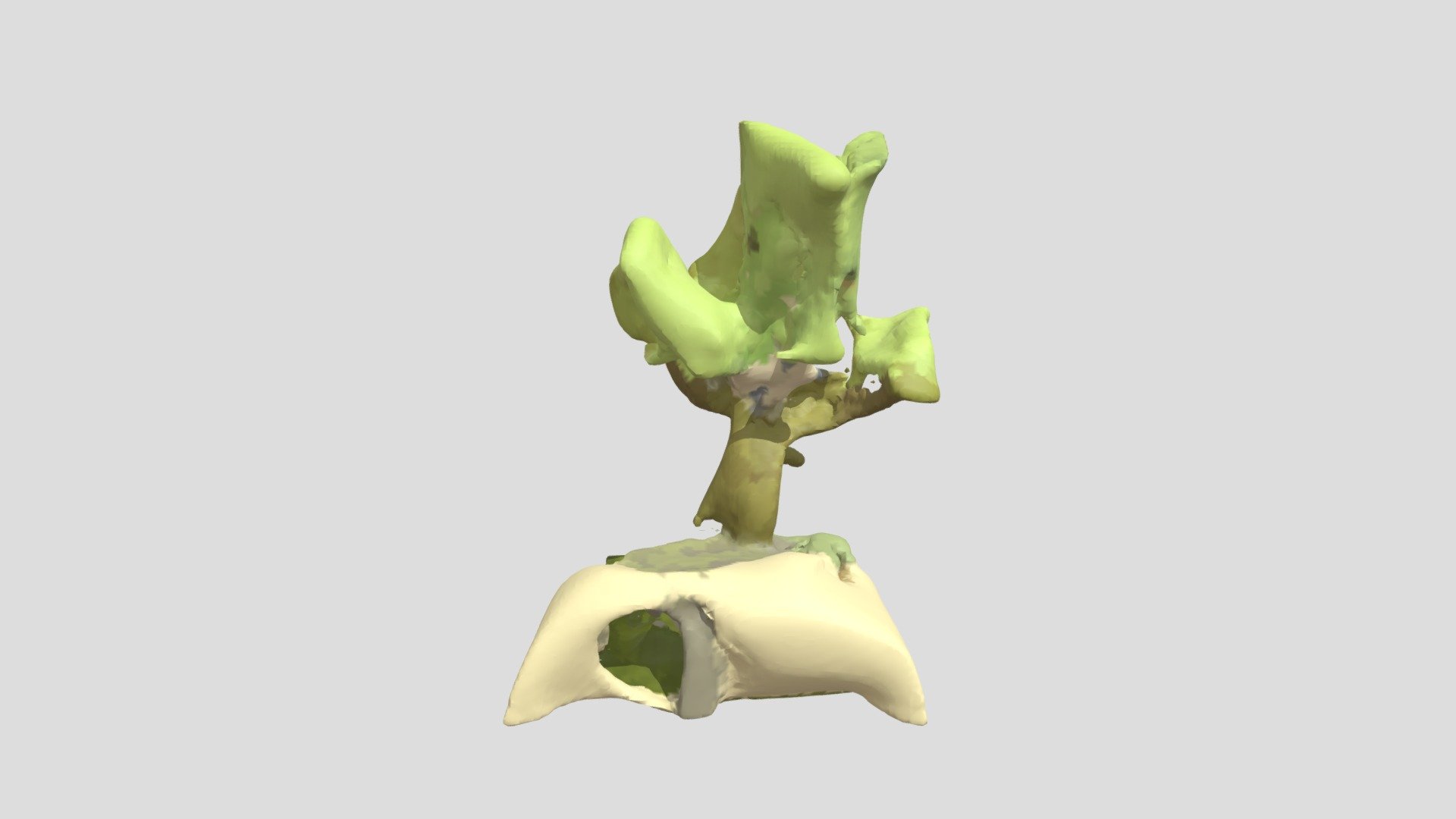 a yogis sitting in lotus pose under a bo - Download Free 3D model by ...
