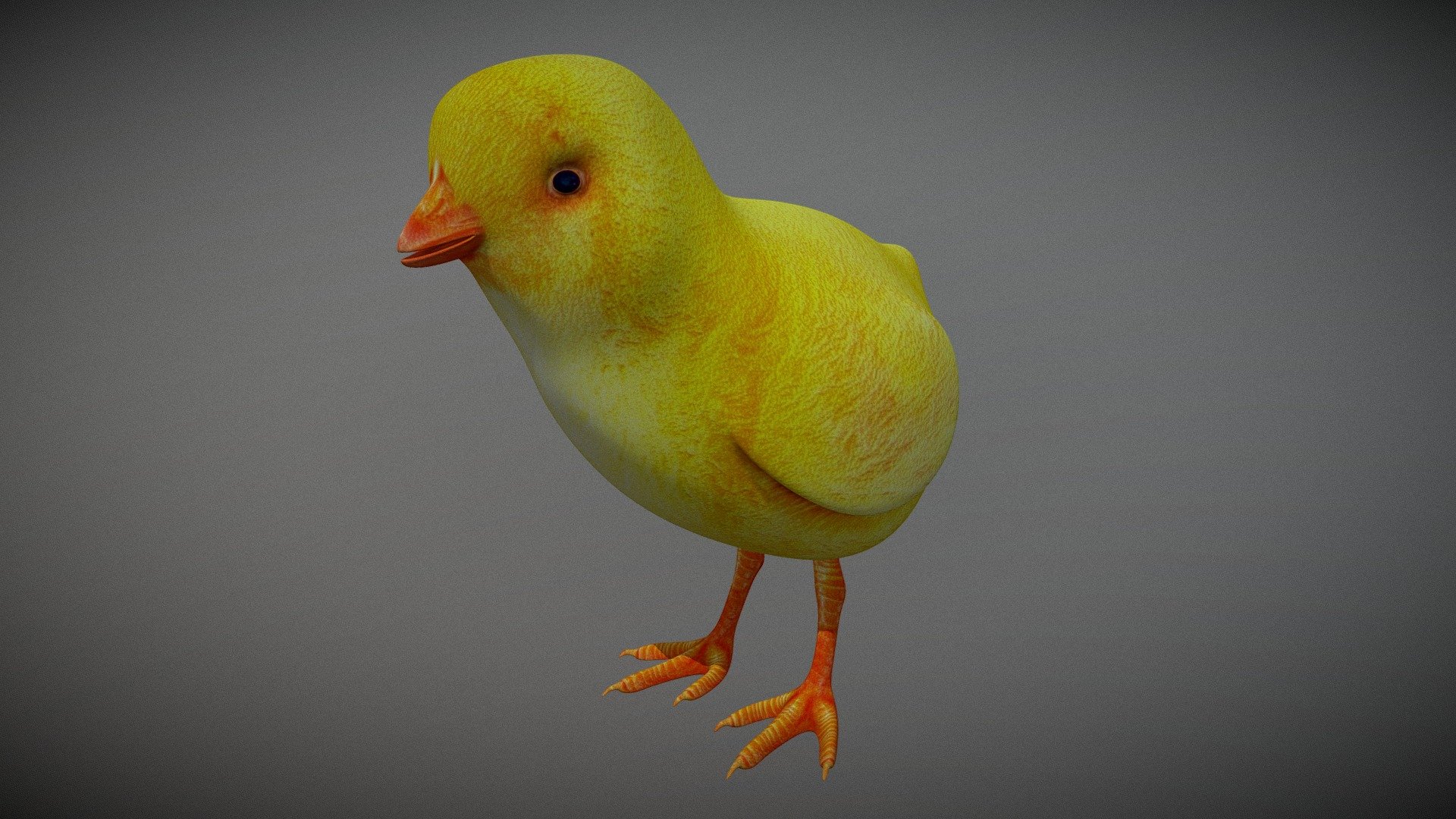 CHICK 3D PRINT MODEL - Buy Royalty Free 3D model by Bilal Creation ...