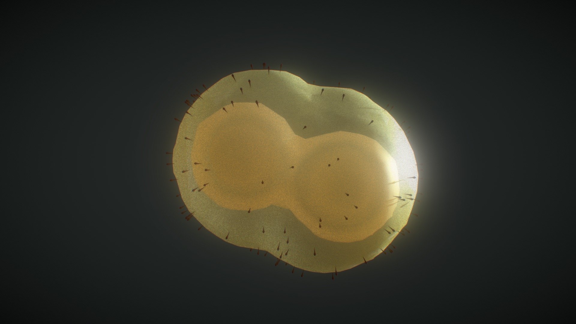 3D Monkeypox Virus - Download Free 3D model by zeroual.elmehdi [ac443ca ...