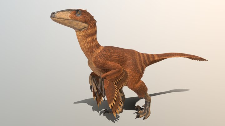 Teropod 3D models - Sketchfab