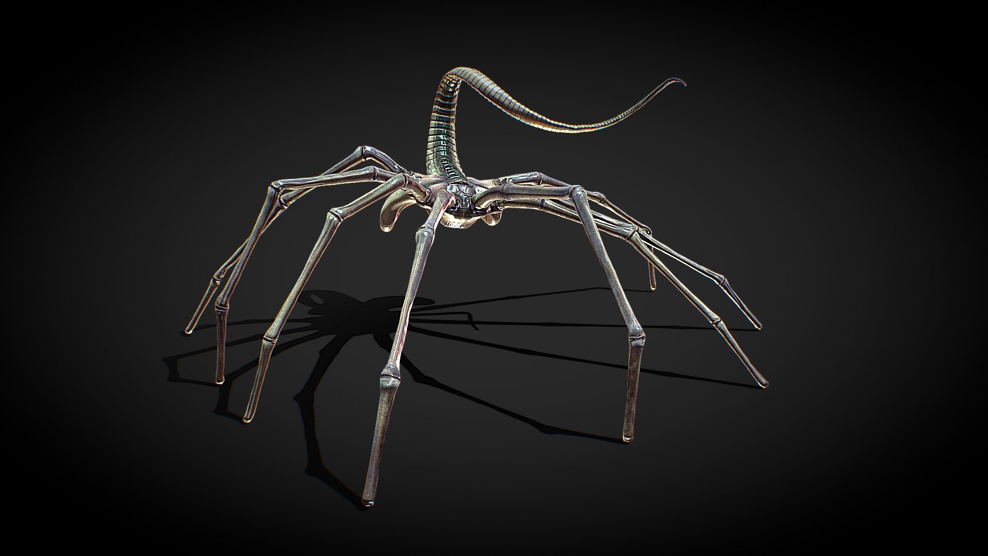 Facehugger - 3D model by Chromasie [ac4d178] - Sketchfab