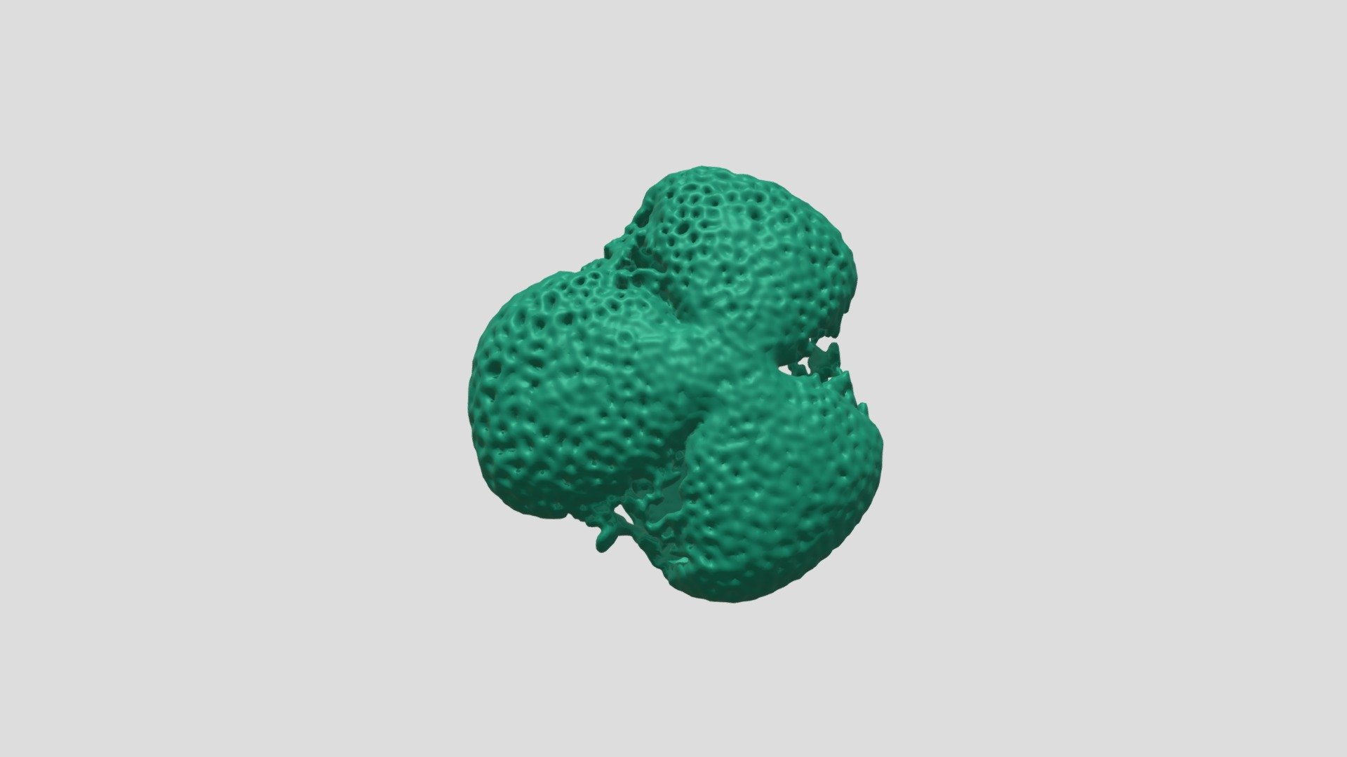 Field pennycress (Thlaspi arvense) pollen grain - 3D model by Cardiff ...