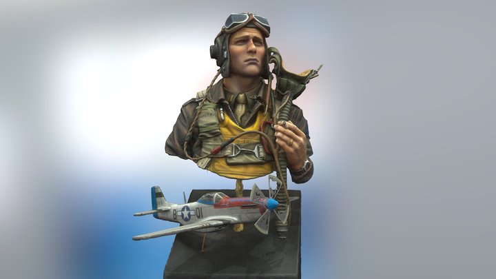 Pilot 3D models - Sketchfab