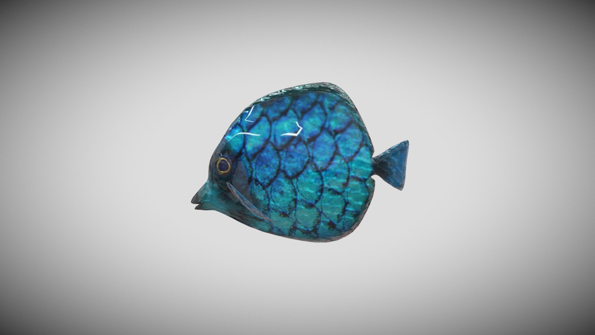 HaganFish - Download Free 3D model by hdhagan [ac5a252] - Sketchfab