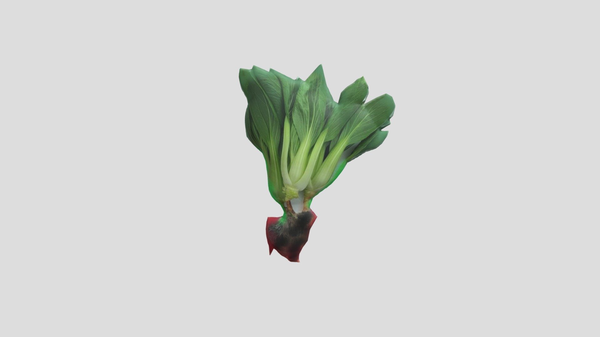 Sawi - Download Free 3D model by Suhita12 [ac60103] - Sketchfab