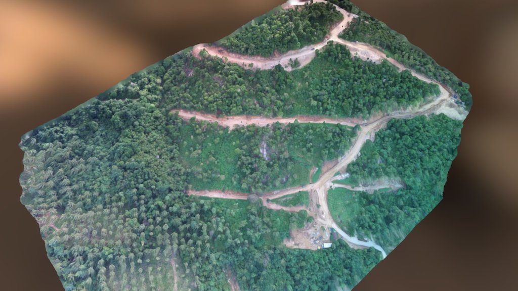 Orchards - 3D model by Samui Aerial Mapping (@samuiaerialmapping) [ac6a081] - Sketchfab