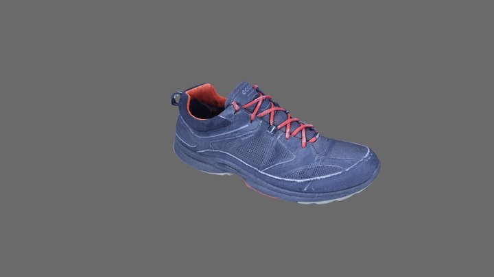 Ecco 3D models - Sketchfab