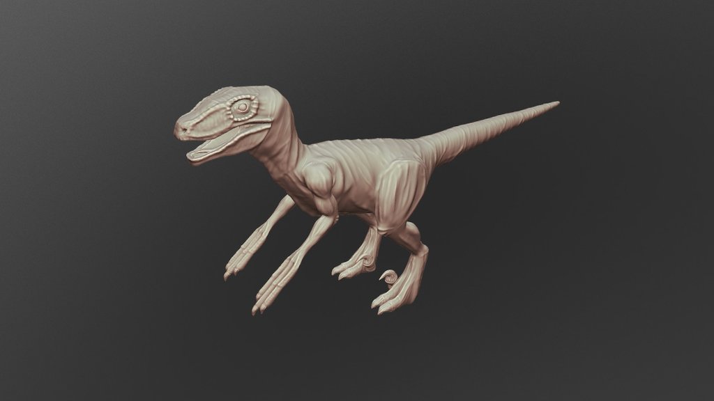 Raptor - 3D model by JesuseteMP [ac76212] - Sketchfab