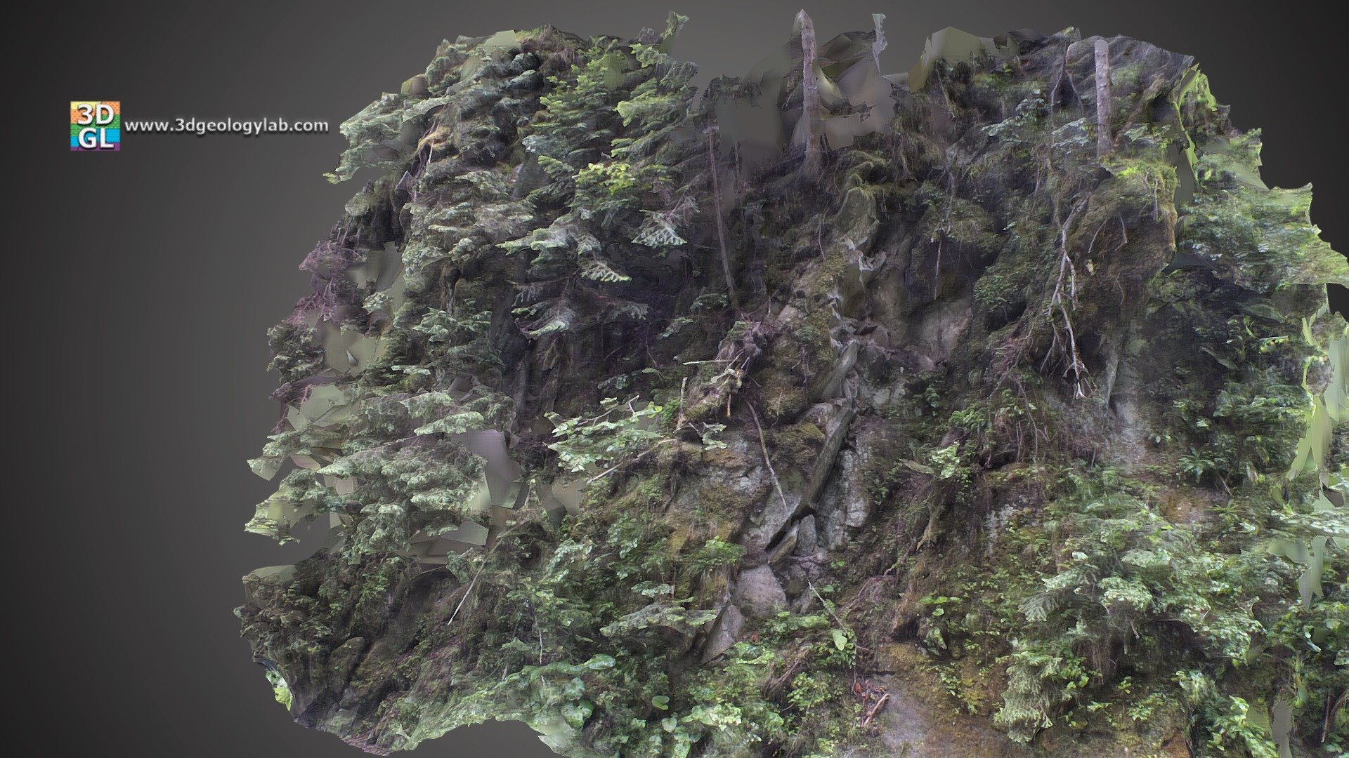 Outcrop (Pr2022_20) - 3D model by 3D Geology Laboratory (@3DGeologyLab ...
