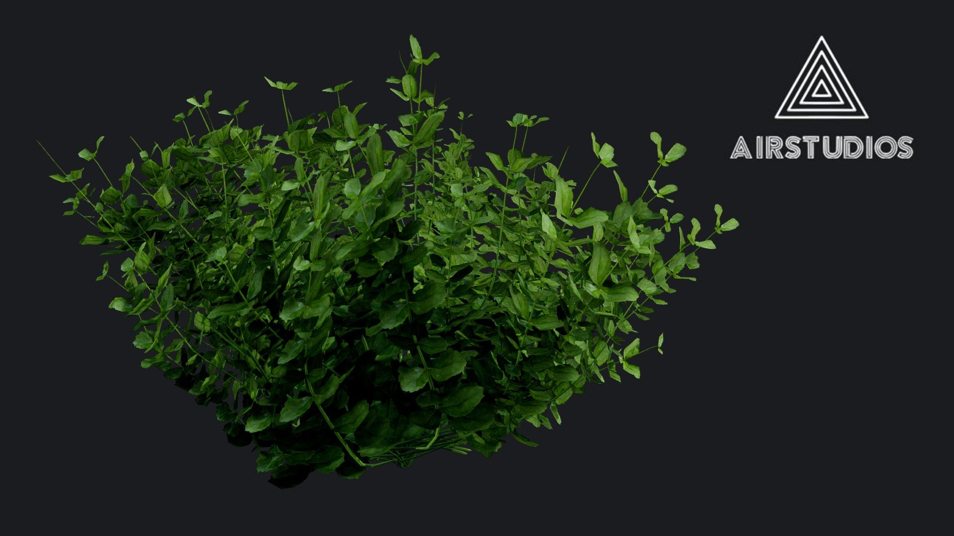 Bush (Realistic) - Buy Royalty Free 3D model by AirStudios ...