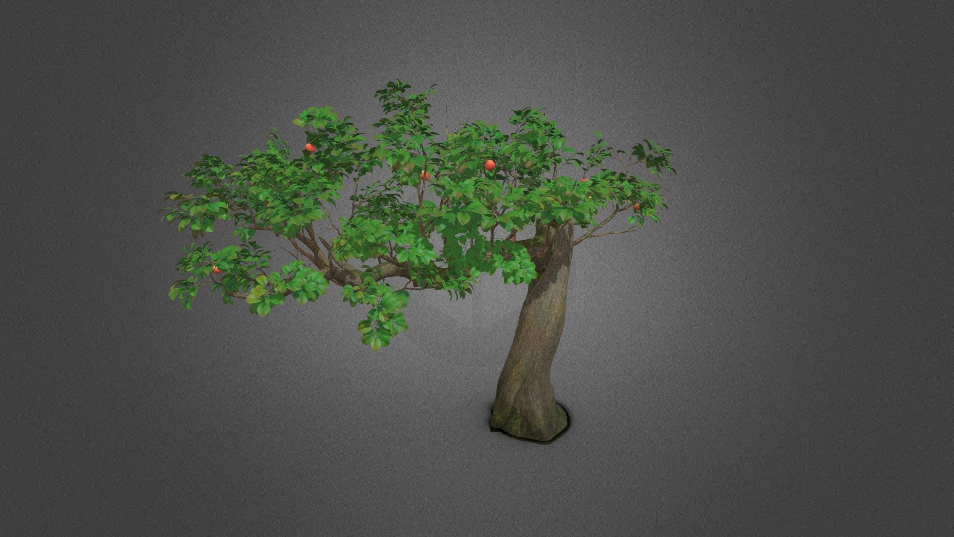 AppleTree - Buy Royalty Free 3D model by misitewang [ac7bf7c] - Sketchfab Store